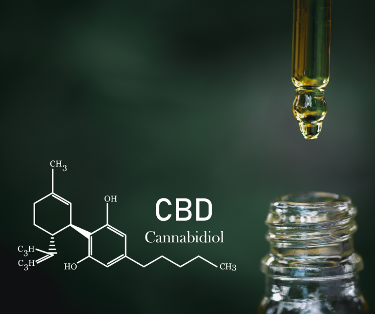 CBD: Nourish Mind, Body & Soul - Fonty Housing